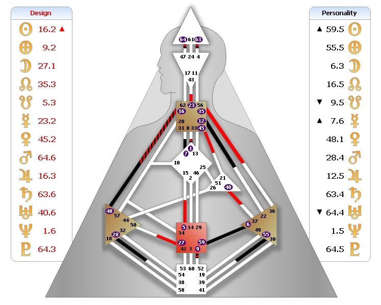 15.8. Human Design für Anfänger