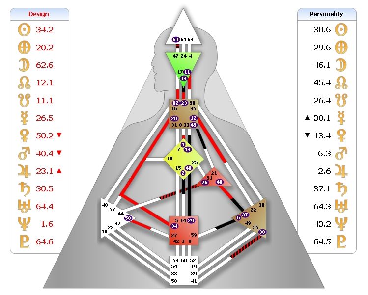 22.8 Human Design für Anfänger